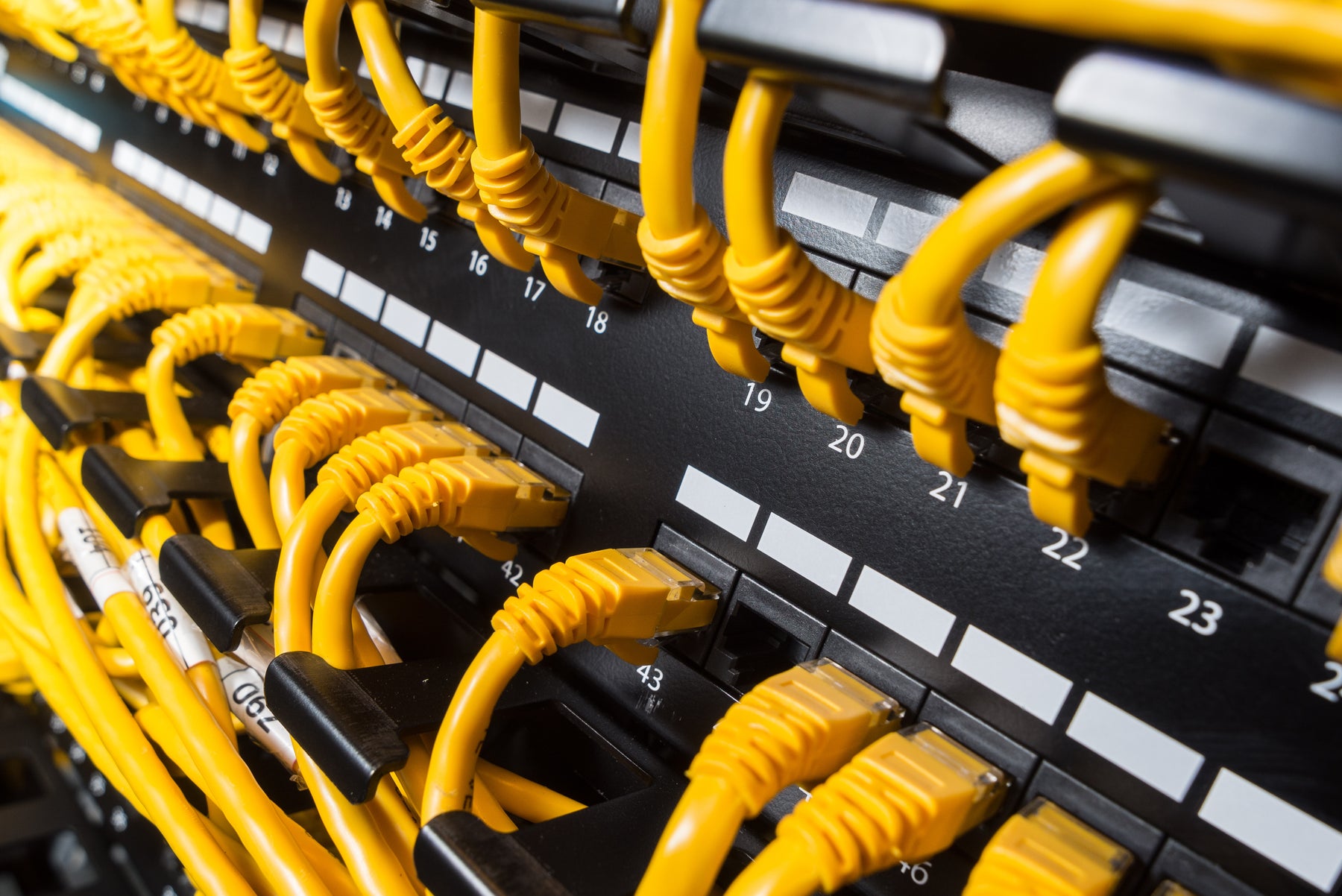 About Patch Panels — Primus Cable
